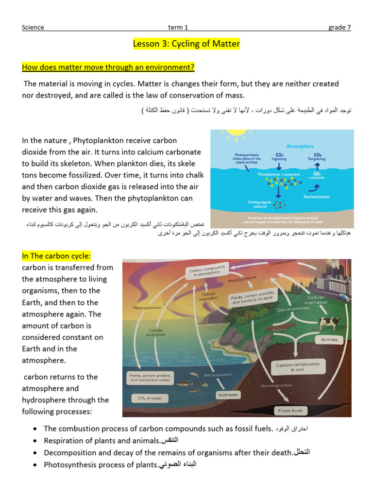 Lesson 3 Cycling of Matter and Lesson 1 Resources in Ecosystems1 | PDF ...
