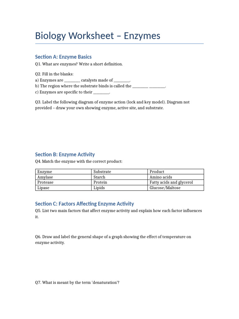 Enzymes Worksheet | PDF