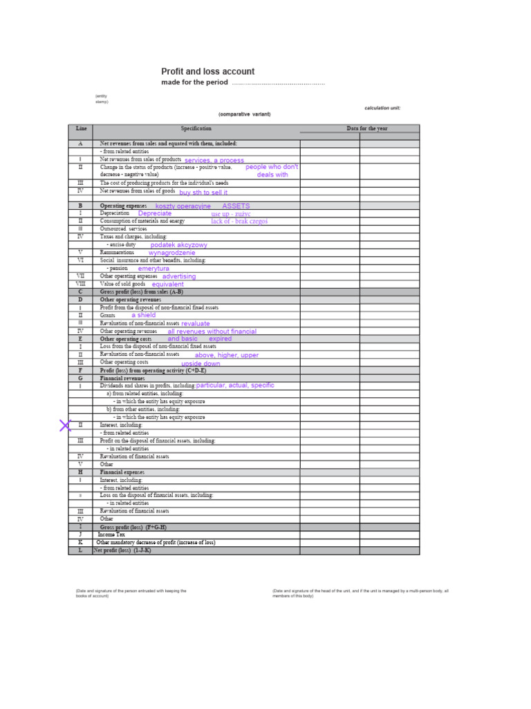 Profit and Loss Account Overview | PDF | Net Income | Revenue