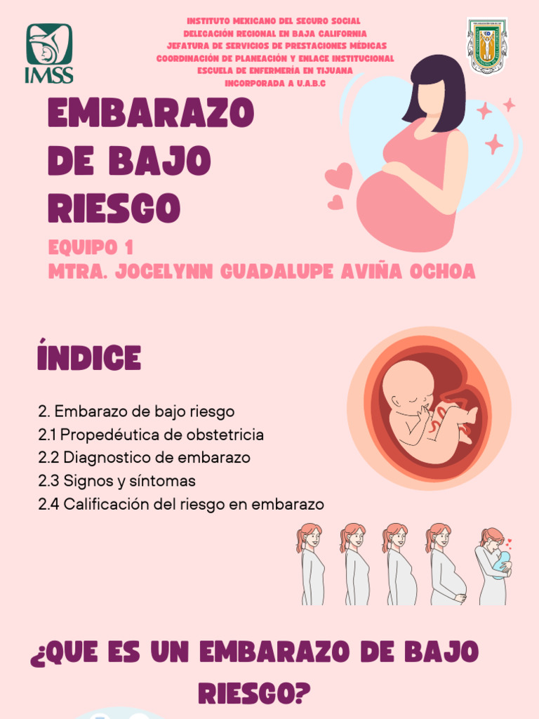 Embarazo de Bajo Riesgo: Guía Completa | PDF | El embarazo ...