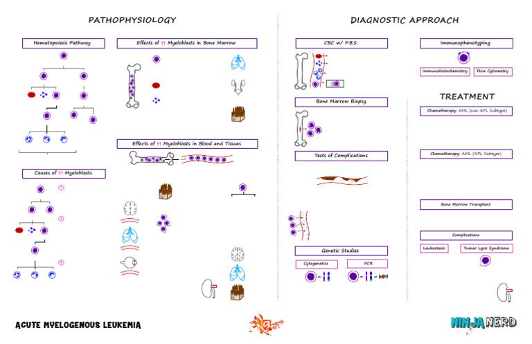 Acute Myelogenous Leukemia (AML) Atf | PDF