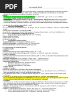 Anatomie des reins et leur vascularisation | PDF | Rein | Foie