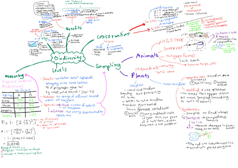 Simple A3 Landscape | PDF