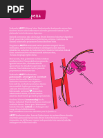 Arantzako Sorgina Irakur Ulermenarako Proba | PDF