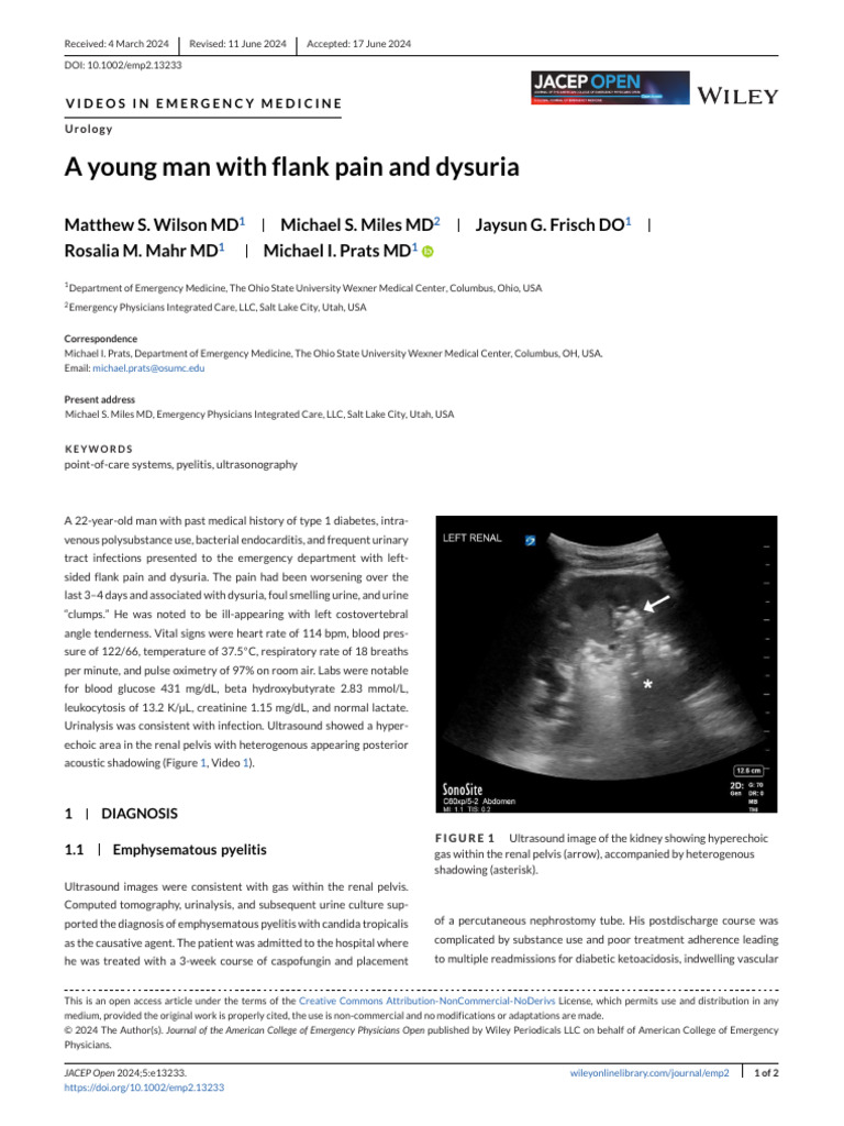 Emphysematous Pyelitis Case Study | PDF | Kidney | Medical Specialties