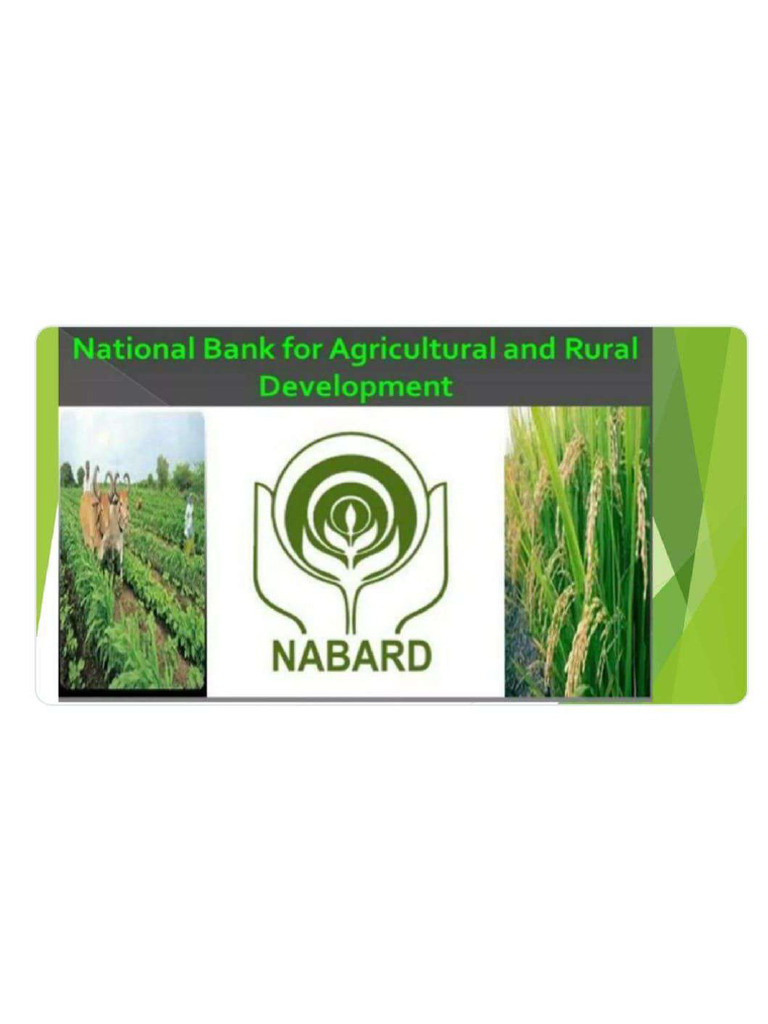 Nabard PDF | PDF