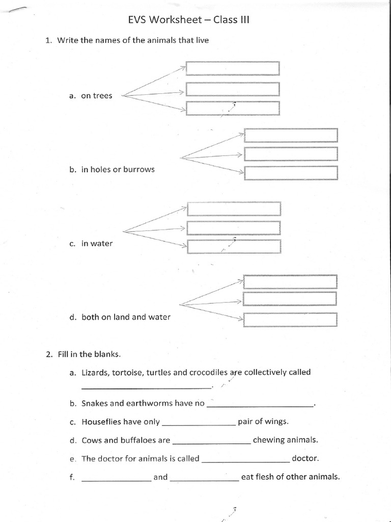 CBSE Class 3 All Subjects Practice Worksheet | PDF