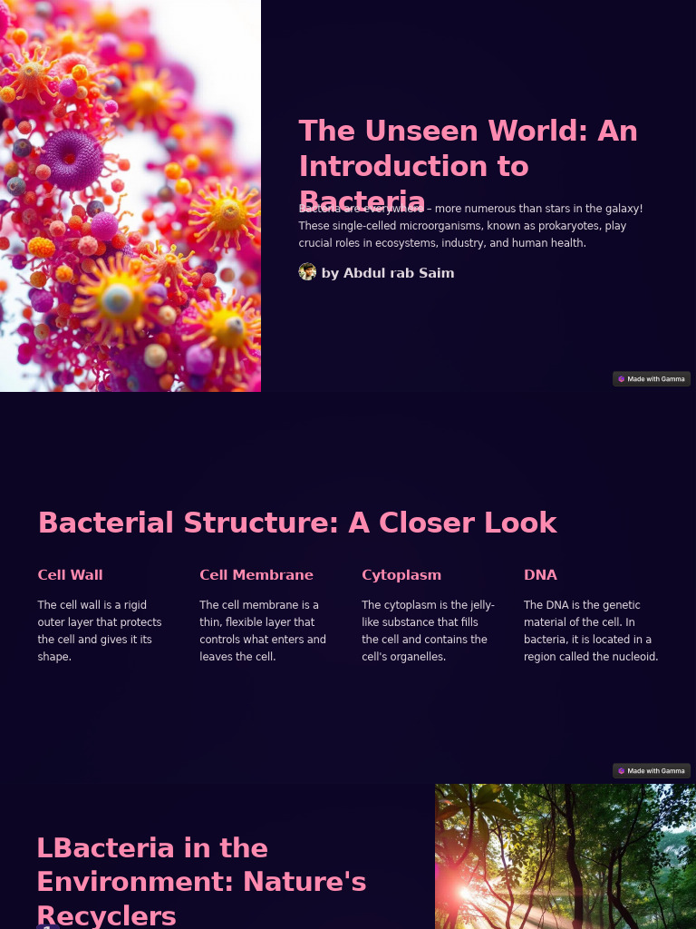 The Unseen World An Introduction To Bacteria | PDF | Bacteria | Cell ...