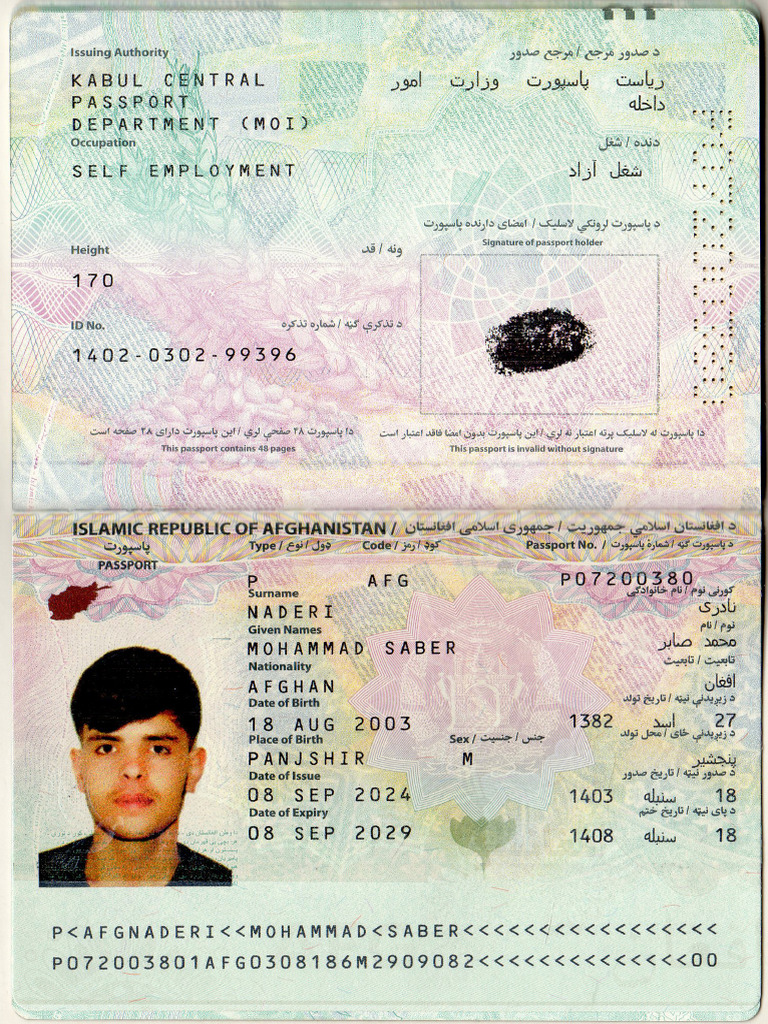 Passport | PDF