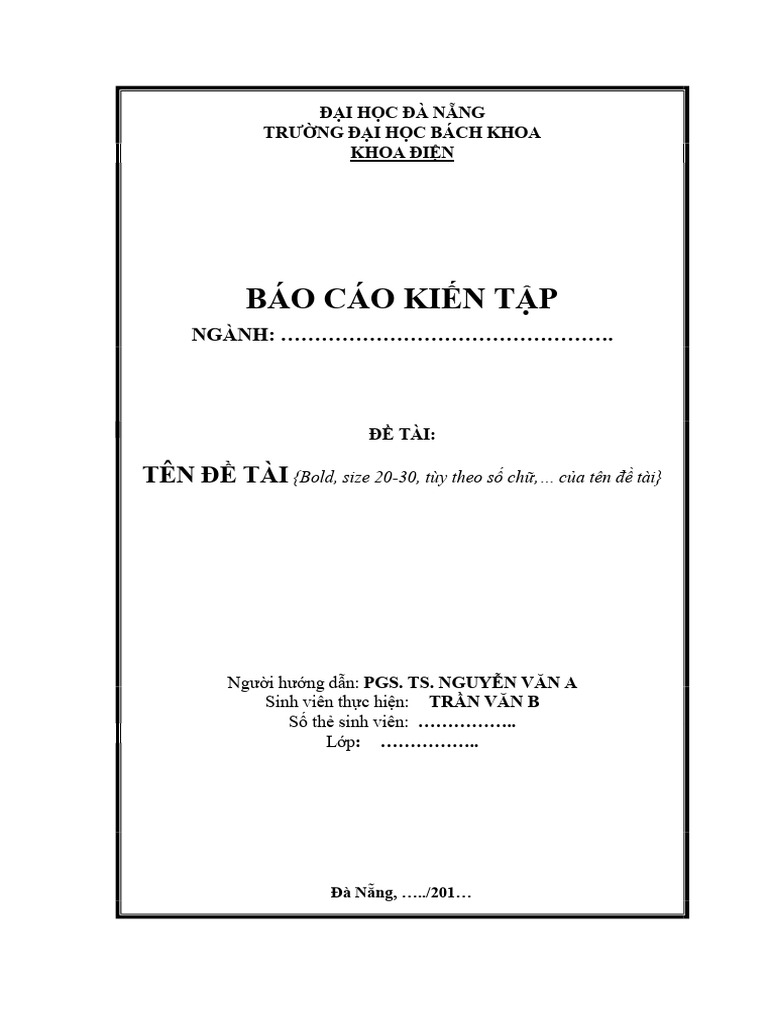 Bieu Mau Bao Cao KTNN | PDF