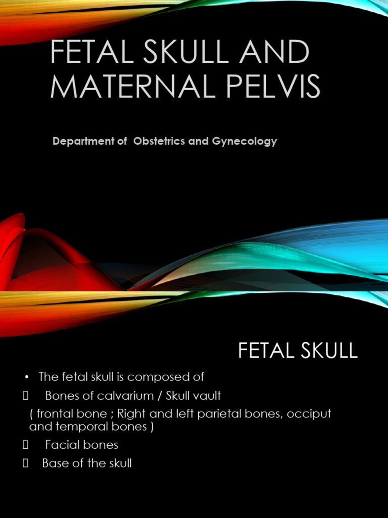 Fetal Skull and Maternal Pelvis SIMS | PDF | Pelvis | Musculoskeletal ...