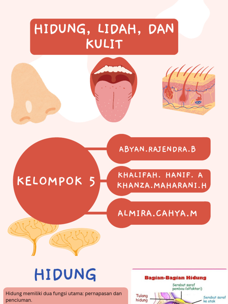 Hidung, Lidah, Dan Kulit | PDF