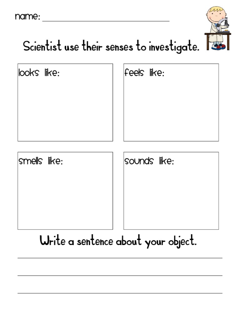Science Observation Sheet | PDF | Philosophy | Language Arts & Discipline