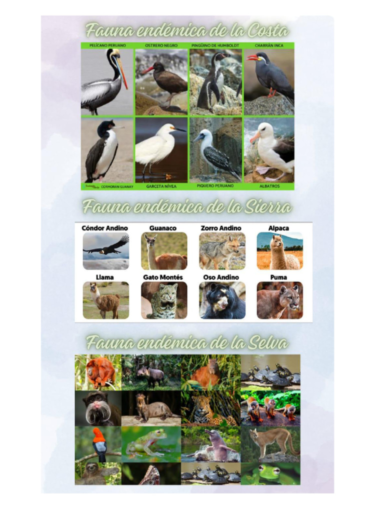 Fauna de La Costa, Sierra y Selva | PDF