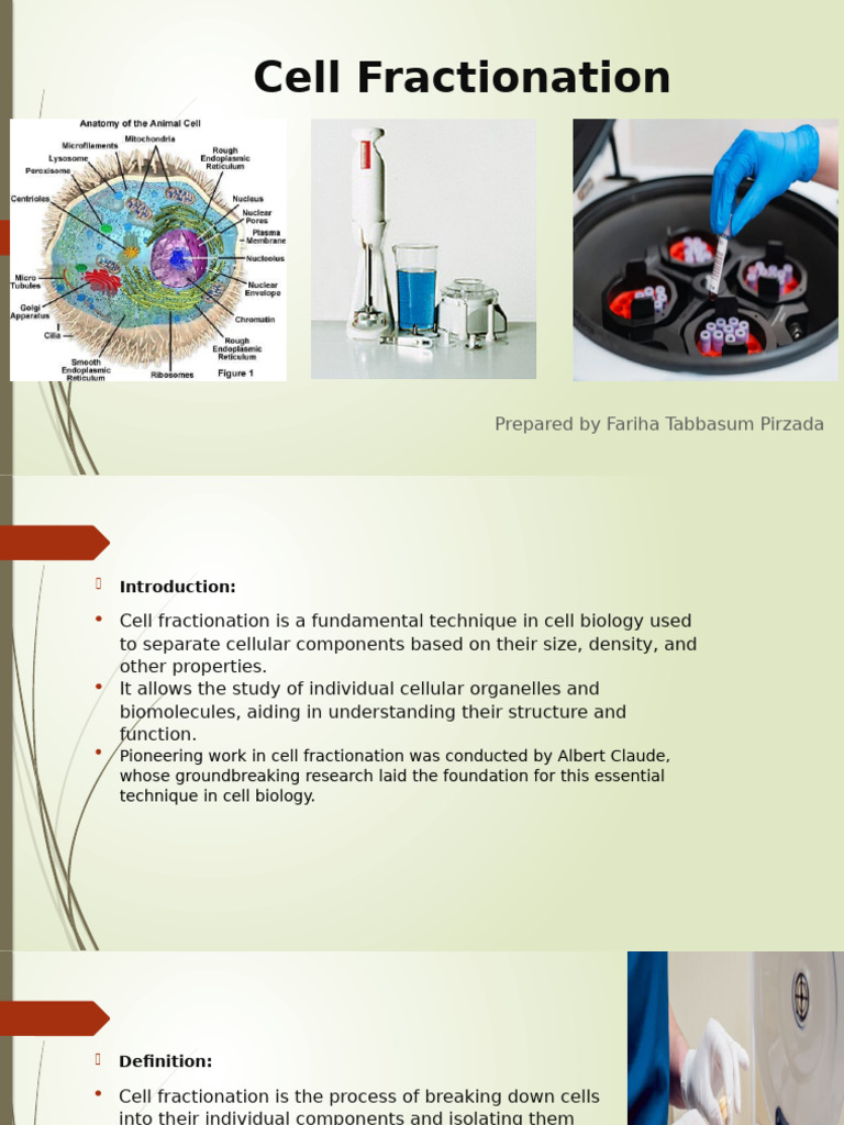 Understanding Cell Fractionation Techniques | PDF | Cell Biology ...