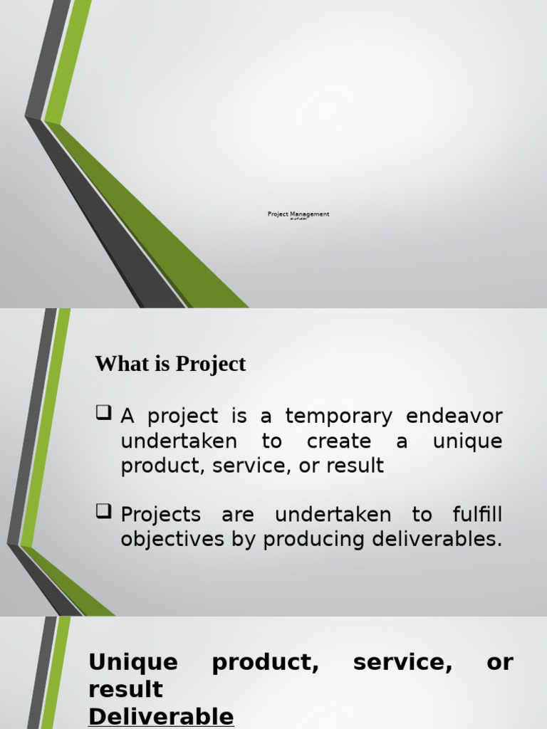 Understanding Project Management Essentials | PDF | Project Management ...