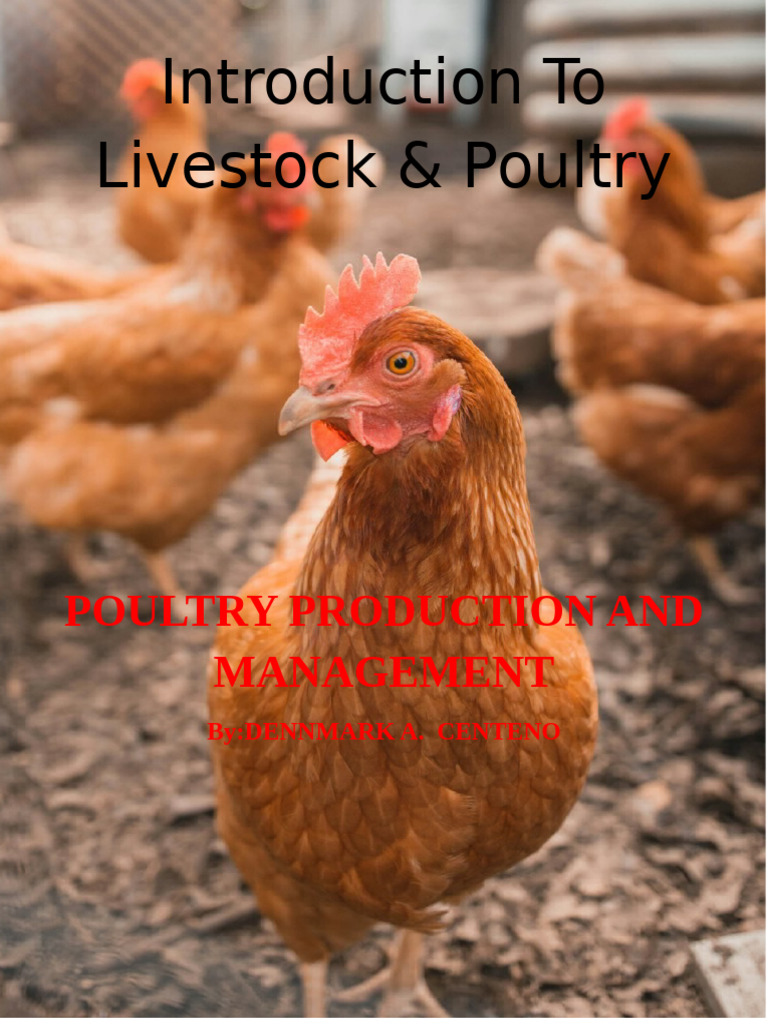 Poultry Introduction Module | PDF