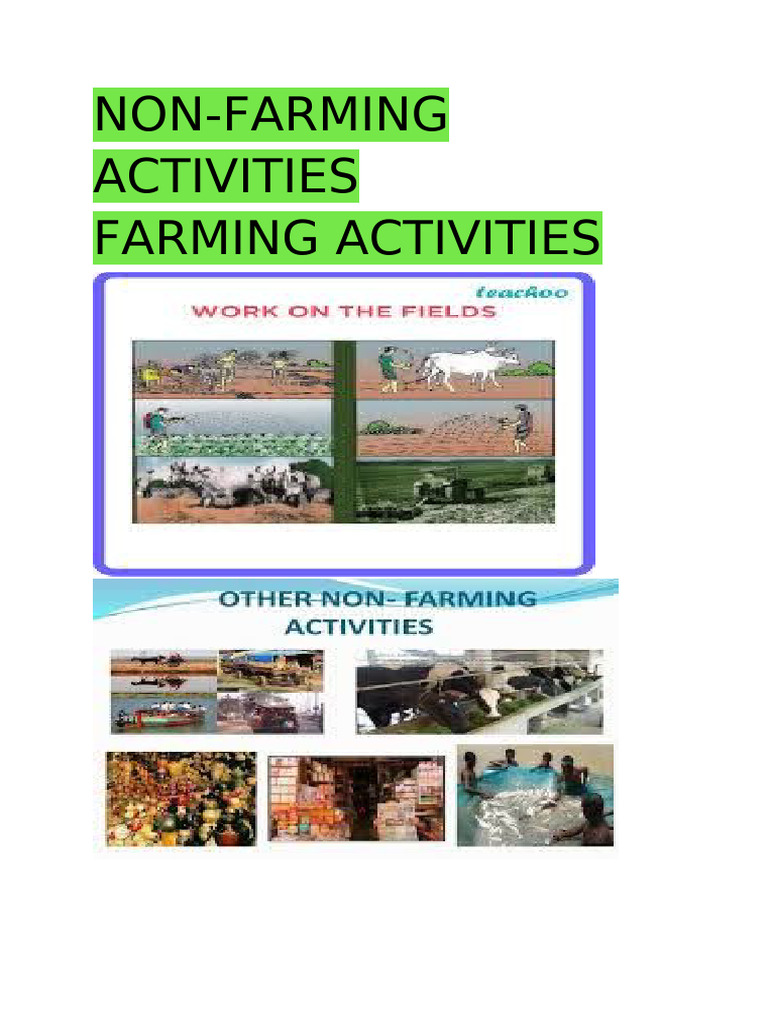 Non Farming Activities | PDF