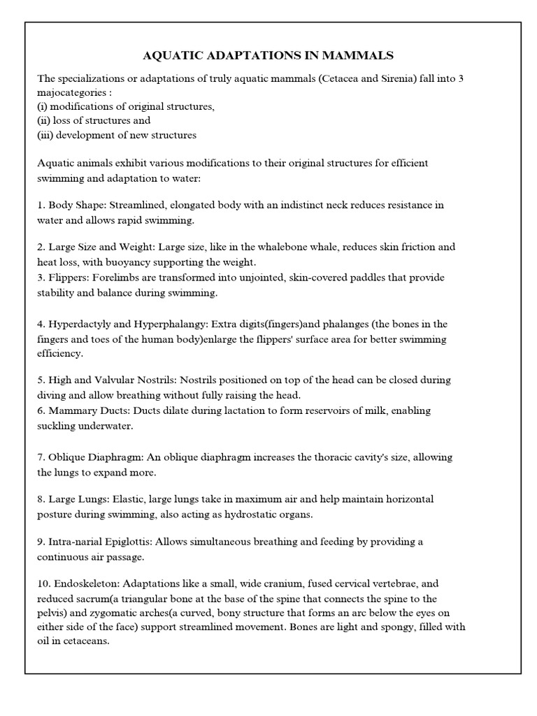 Aquatic Mammals: Key Adaptations | PDF | Whales | Cetacea