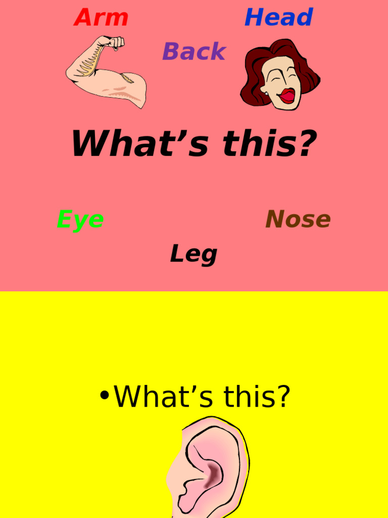 Anatomy and Body Parts PPT Quiz | PDF