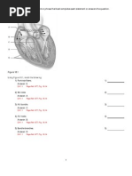 Anatomy MCQs | PDF | Kidney | Urinary System