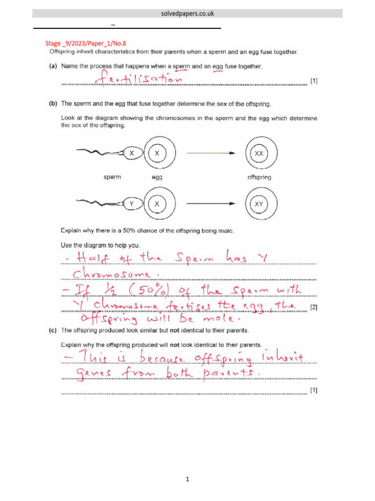 2023 22 Chromosomes and DNA Checkpoint - Sec - 1 - Progression Stage 9 - Solved | PDF