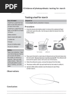 Experiment #2 Testing A Leaf For Starch | PDF