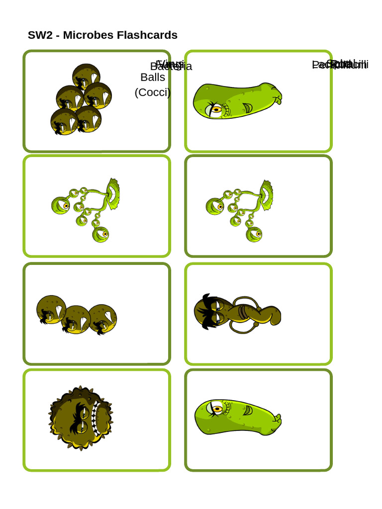 GB Ks1 Itm Sw2 Microbes Flashcards | PDF