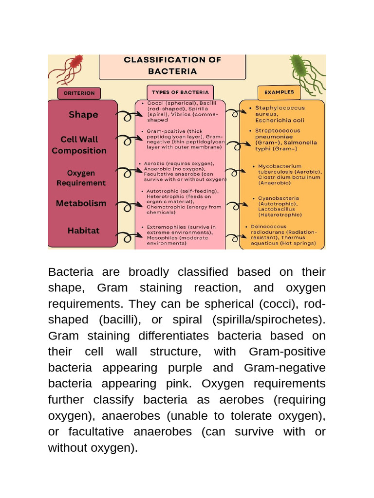 Bacteria Are Broadly Classified Based On Their Shape, Gram Staining ...