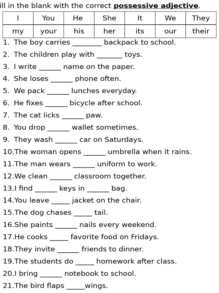 Fill in the Blanks with Possessive Adjectives | PDF