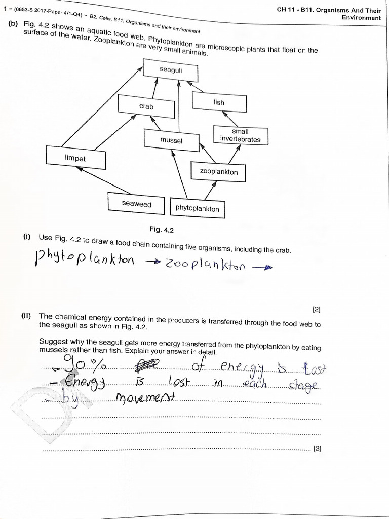 New Scan 2025-08-23 2356 | PDF