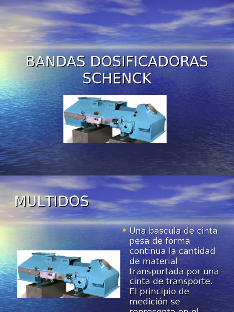 Bandas Dosificadoras Schenck: Características y Control | PDF