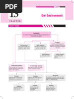 Class 10 Our Environment PYQs Worksheet | PDF | Food Web | Ecosystem