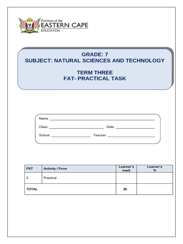 2025 NST Grade 7 Practical Term 3 | PDF | Cartesian Coordinate System ...