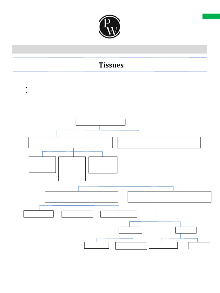 Tissue - Short Note For Olympiad Examination - Nidhi Mam | PDF | Tissue ...