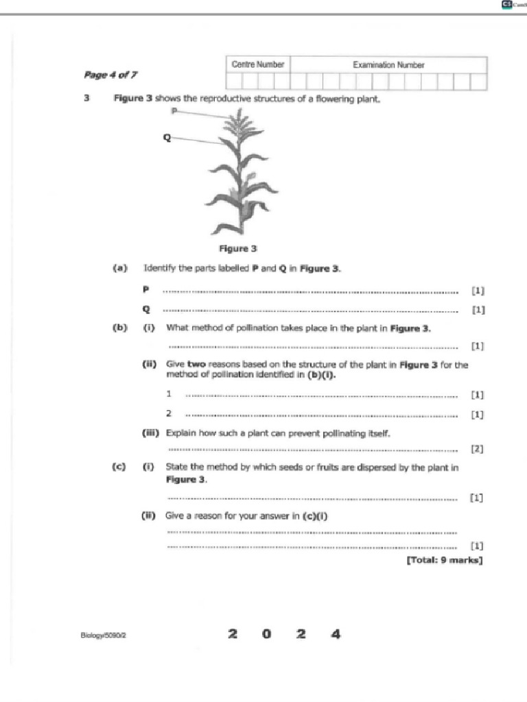 Downloadfile Bin | PDF