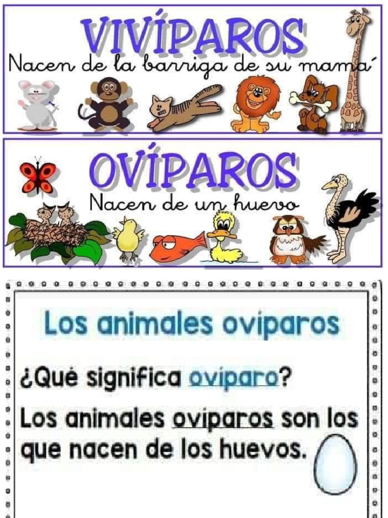 Ficha Oviparos Viviparos | PDF