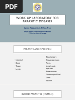 Malaria Parasite Counting | PDF | Malaria | White Blood Cell