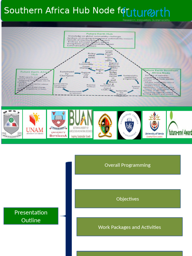 Southern Africa Sustainability Hub Strategy | PDF | Sustainability ...