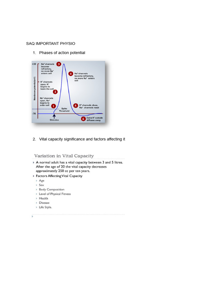 Saq Important Physio PDF | PDF