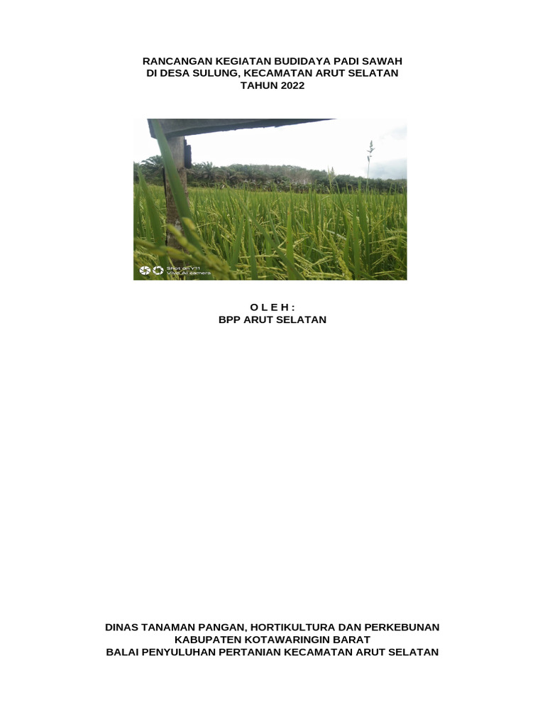 Rancangan Demplot Padi Sawah Di Desa Sulung (PP Furnadi, BPP Arut ...