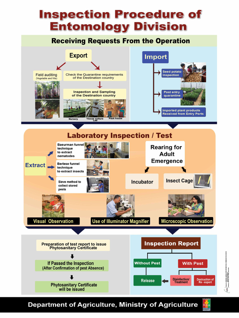 Inspection Procedure Entomology Division | PDF