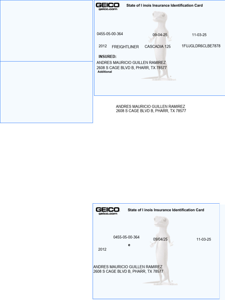 GEICO Insurance Policy ID Cards | PDF | Vehicle Insurance