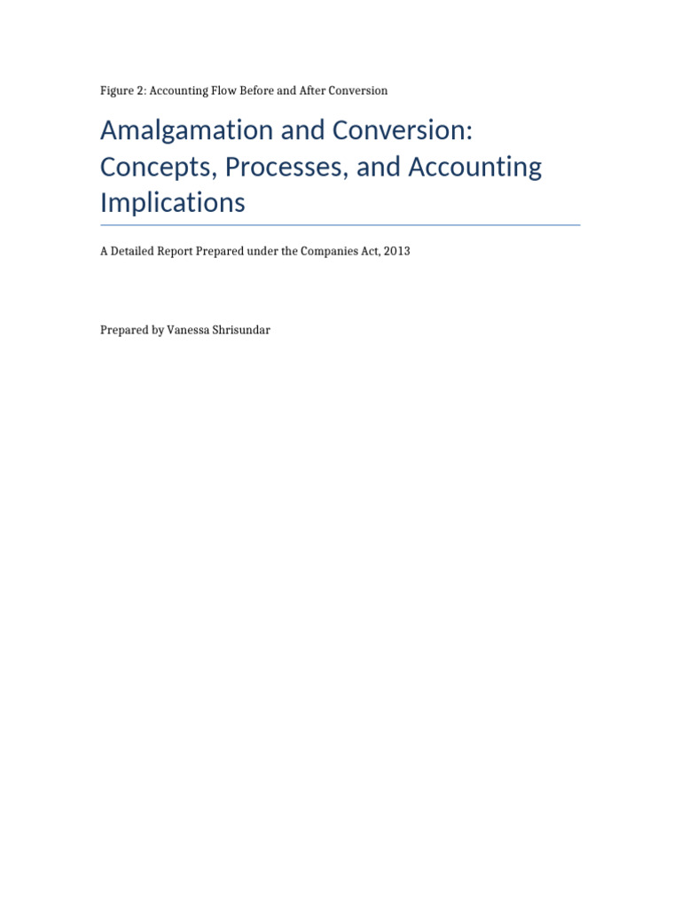 Amalgamation and Conversion Report With Diagrams | PDF | Balance Sheet ...