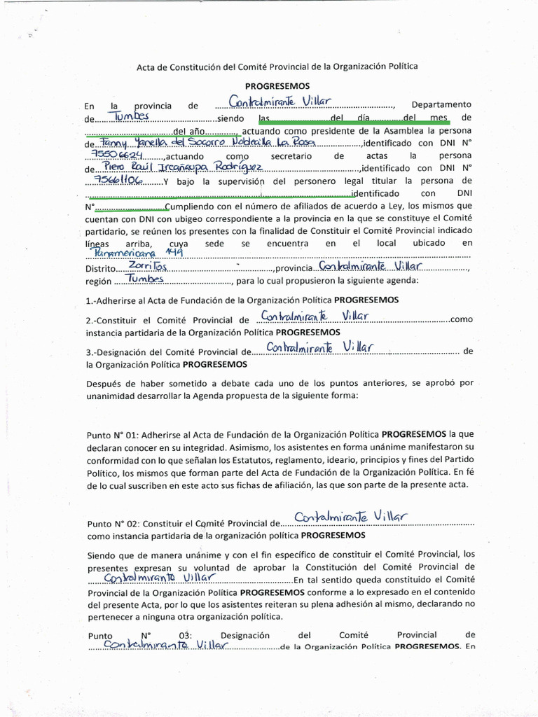 Modelo Acta de Comite | PDF