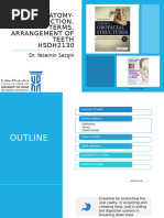 Teeth Labelling Guide and Answers | PDF