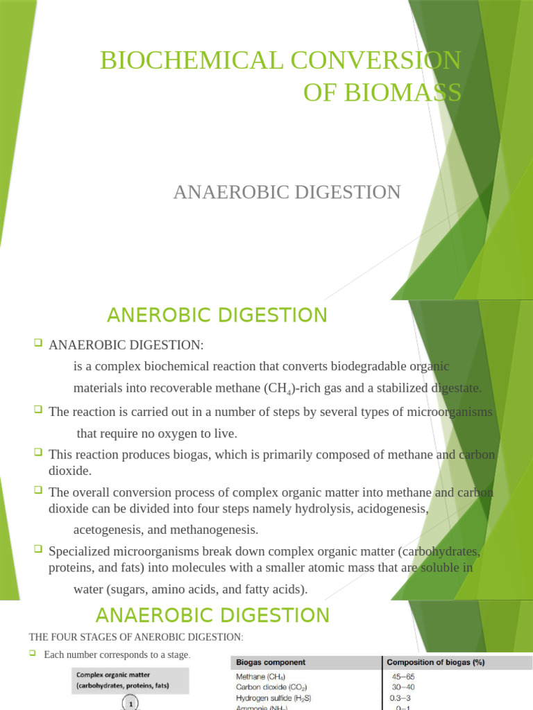 Biochemical Conversions of Biomass Lecture Notes | PDF | Anaerobic ...