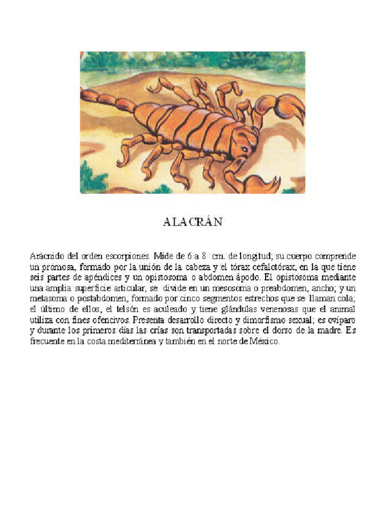 Alacrán | PDF