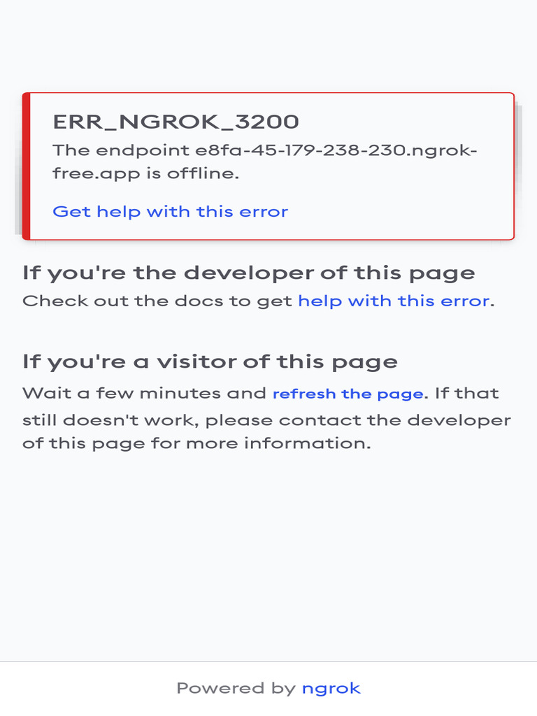 Ngrok Error: Endpoint Offline (3200) | PDF