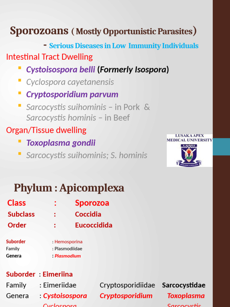 Opportunistic Sporozoan Parasites Overview | PDF | Immunology | Medical ...